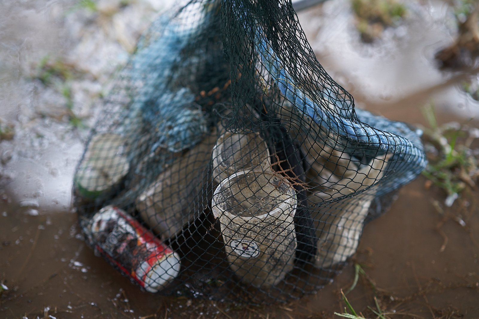 SCG ‘ใคร Make Change - ปลูกหญ้าทะเล @ ตรัง’ ลงพื้นที่ปลูก “หญ้าทะเล” ฮีโร่ลดโลกร้อน - DOODDOT